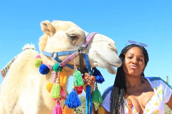 Your Passport Is Your Ticket to Adventure - Travel Divas®